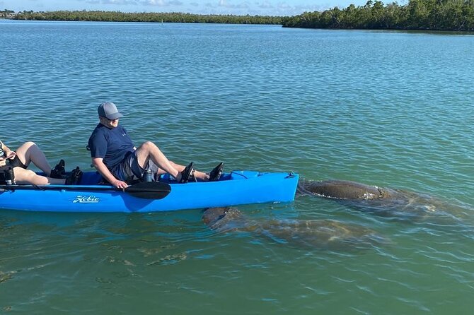 Deluxe Pedal Kayak Tour Marco Island and Naples, Florida - Final Thoughts