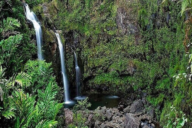 Deluxe Road to Hana Rainforest and Waterfall Experience from Oahu - FAQ