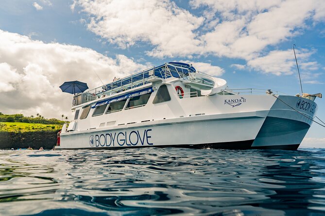Deluxe Snorkel & Dolphin Watch Aboard a Luxury Catamaran from Kailua-Kona - Starting Point and Convenience