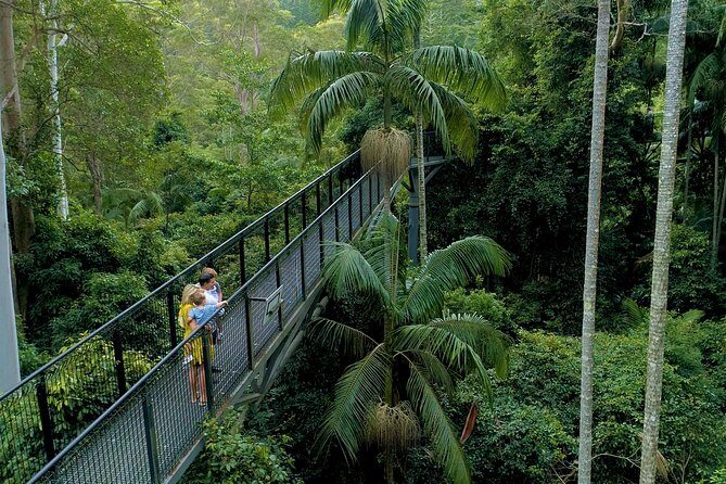 Deluxe Tamborine & Springbrook Day Tour with Skywalk & Glow Worms - Introducing the Deluxe Tamborine & Springbrook Day Tour with Skywalk & Glow Worms