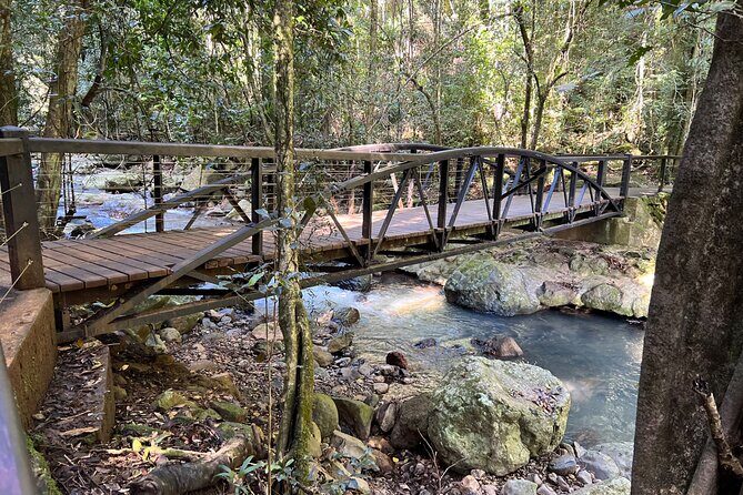 Deluxe Tamborine & Springbrook Day Tour with Skywalk & Glow Worms - Who Will Love This Tour?