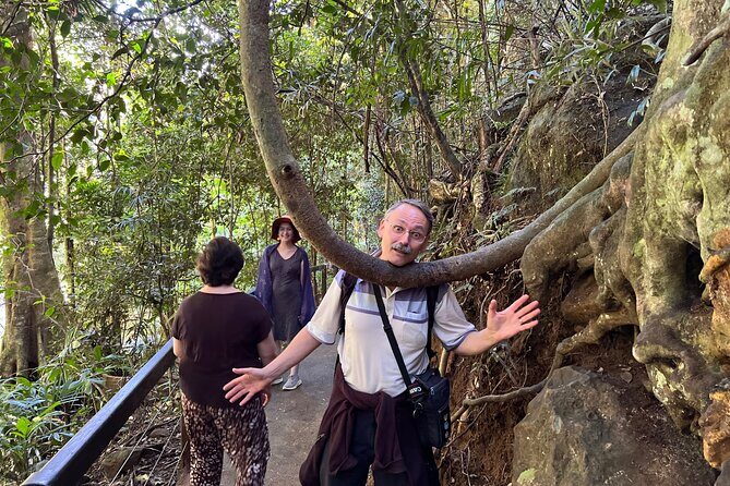 Deluxe Tamborine & Springbrook Day Tour with Skywalk & Glow Worms - FAQs