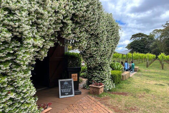 Deluxe Winery Tour to Tamborine Mountain (Mon-Tues) - Key Points