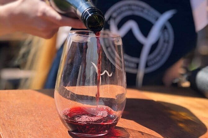 Deluxe Winery Tour to Tamborine Mountain (Mon-Tues) - Transport, Group Size, and Overall Comfort