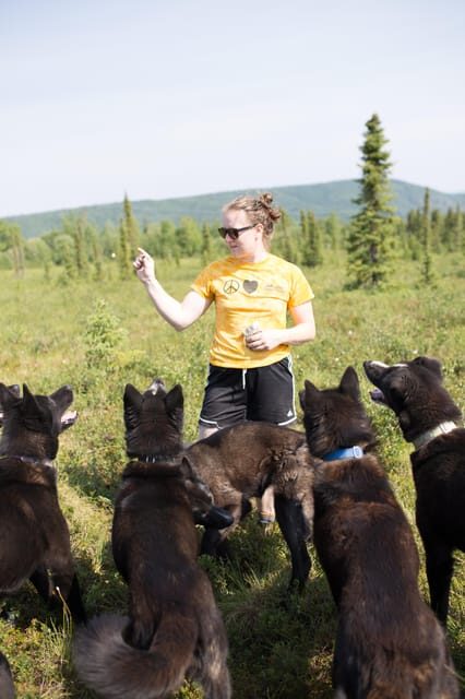 Denali: 1 Hour Tundra Walk With Free Running Sled Dogs - Walking Off-Trail in the Alaska Wilderness