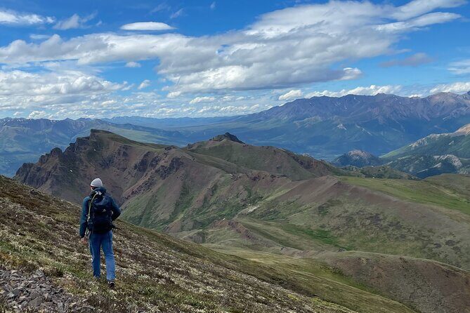Denali 4 Hour Hiking Adventure with Naturalist Guide - Authentic Experiences and What Travelers Say