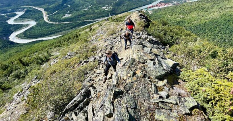 Denali: 5 Hour Guided Into The Mountains Hiking Tour - An In-Depth Look at the Denali Mountain Hike
