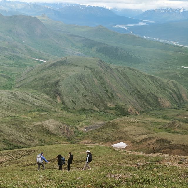 Denali: 5-Hour Guided Wilderness Hiking Tour - The Itinerary: What to Expect