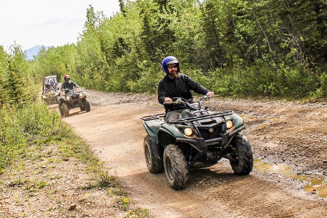 Denali ATV Trailblazer 3.5 Hour Tour - What Do Travelers Say?