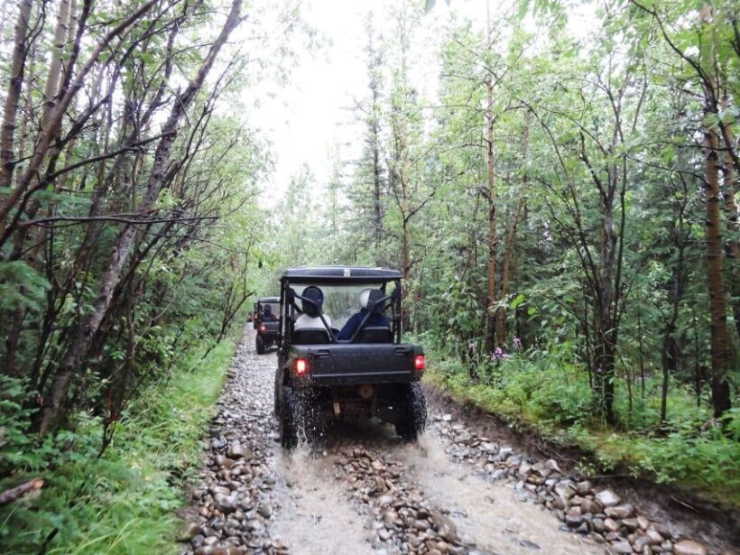 Denali: ATV Trailblazer Tour - The Experience from Travelers