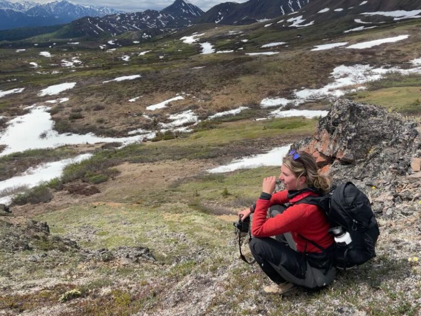 Denali: Denali National Park Walking Tour - Who Will Enjoy This Tour Most?