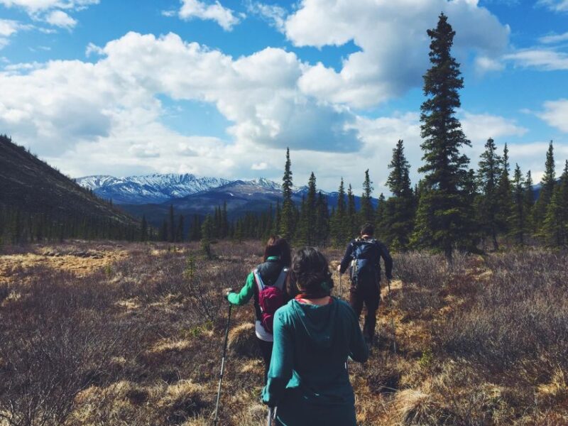 Denali: Denali National Park Walking Tour - Practical Tips for Travelers