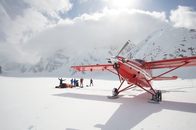 Denali Flyer Flightseeing Tour from Talkeetna - The Sum Up: Is the Denali Flyer Flightseeing Tour worth it?