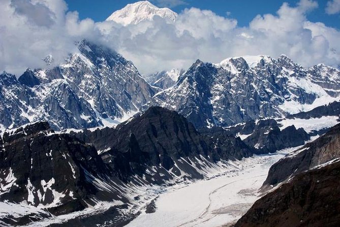 Denali Grand Flightseeing Tour from Talkeetna - Authentic Feedback from Travelers