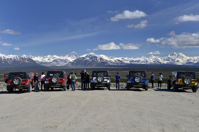 Denali Highway Jeep Excursion - Scenic Highlights and Wildlife Spotting
