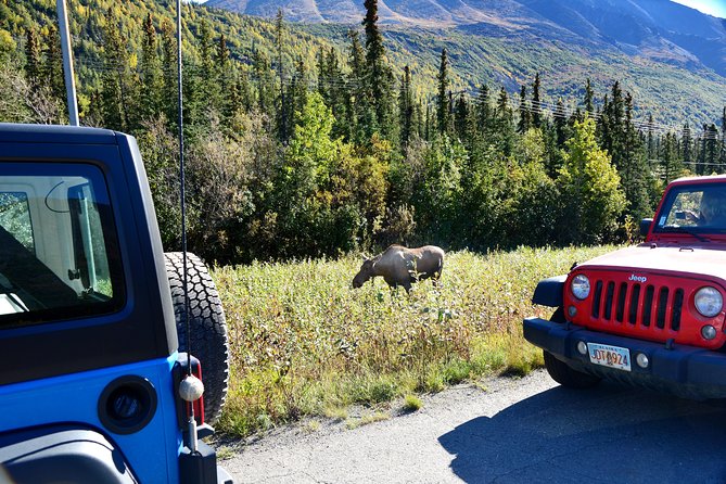 Denali Highway Jeep Excursion - What to Expect During the Tour