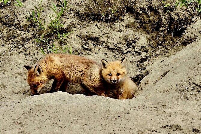 Denali Highway Overnight Excursion - FAQs