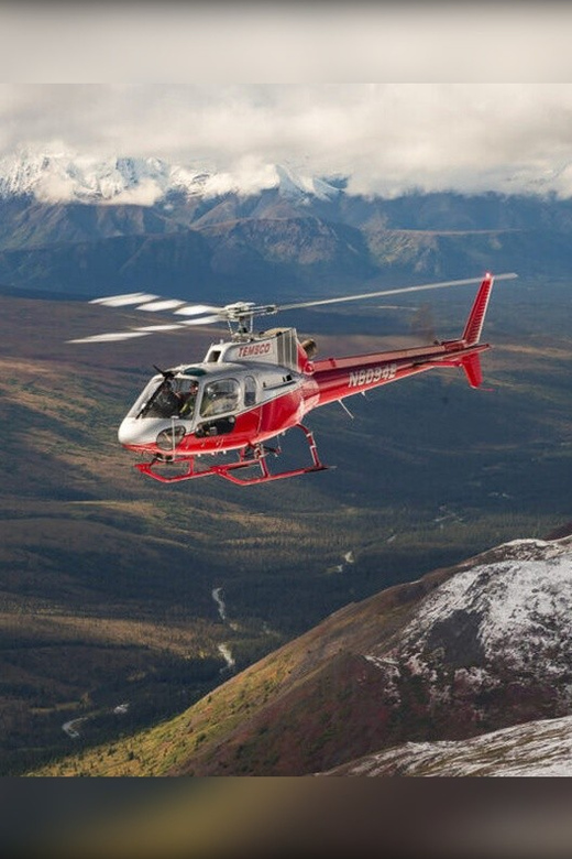 Denali National Park: Helicopter and Hike Adventure - Practical Details and Considerations