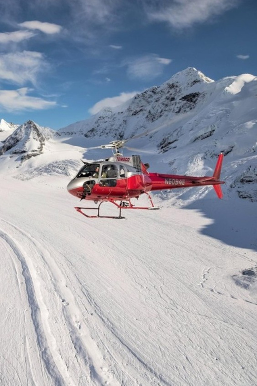 Denali National Park: Helicopter Flight with Glacier Landing - Final Thoughts