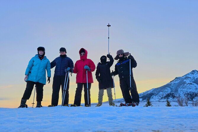 Denali National Park plus Aurora Chase Tour - An In-Depth Look at the Tour