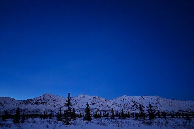 Denali National Park plus Aurora Chase Tour - Final Thoughts