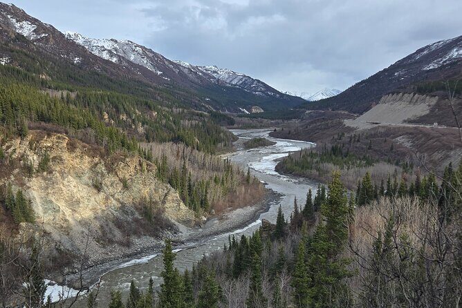 Denali National Park Shuttle - The Detailed Breakdown of the Shuttle Experience