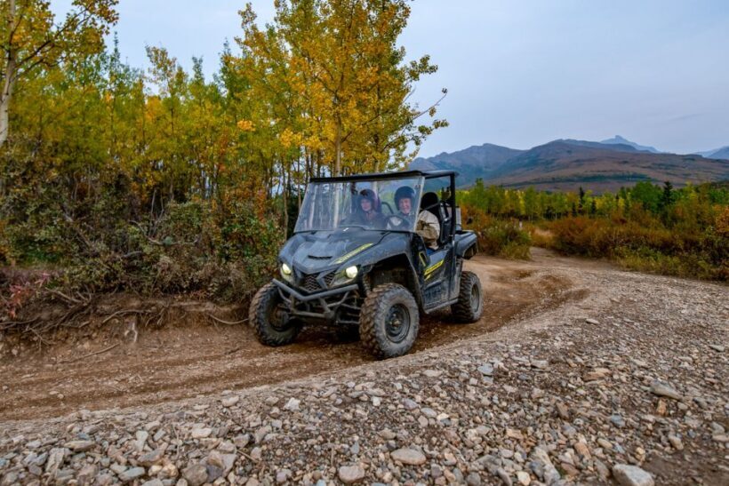 Denali National Park: Wilderness ATV Adventure - An In-Depth Look at the Wilderness ATV Tour