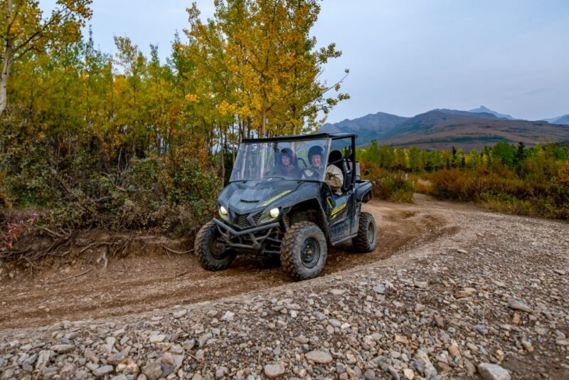 Denali National Park: Wilderness ATV Adventure - Who Is This Tour Best For?