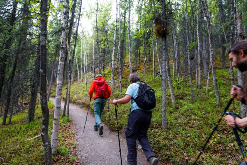 Denali: Naturalist Walking Tour in Denali National Park - Key Points