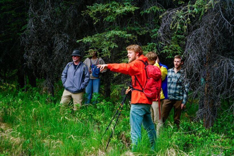 Denali: Naturalist Walking Tour in Denali National Park - An In-Depth Look at the Naturalist Walking Tour