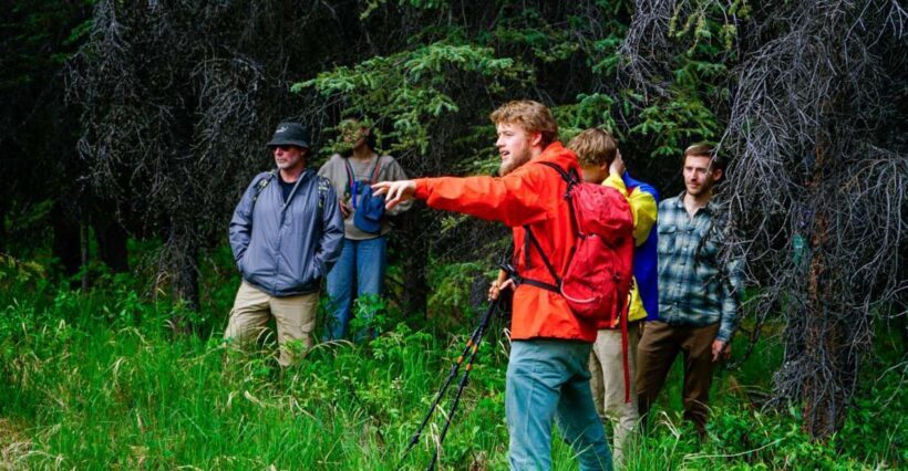 Denali: Naturalist Walking Tour in Denali National Park - Practical Considerations