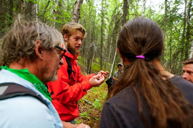 Denali: Naturalist Walking Tour in Denali National Park - FAQ