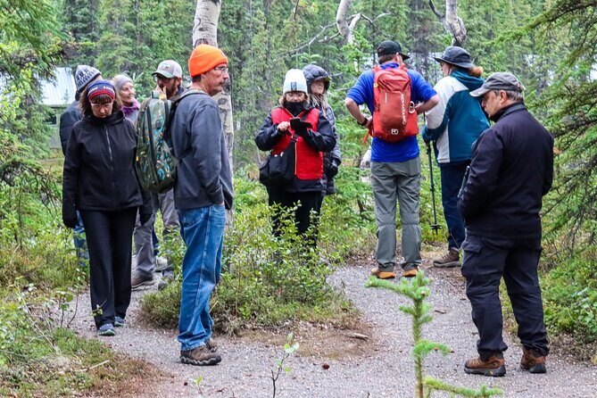 Denali Nature Hike - Final Thoughts
