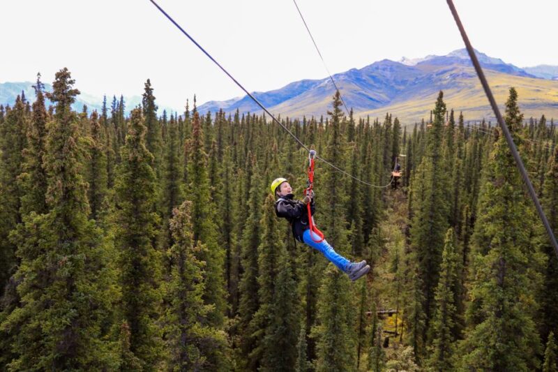Denali Park Zipline Adventure - Key Points: