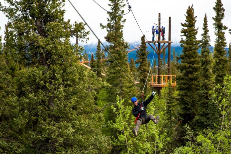 Denali Park Zipline Adventure - The Zipline Course: An Exciting Mix of Views and Thrills