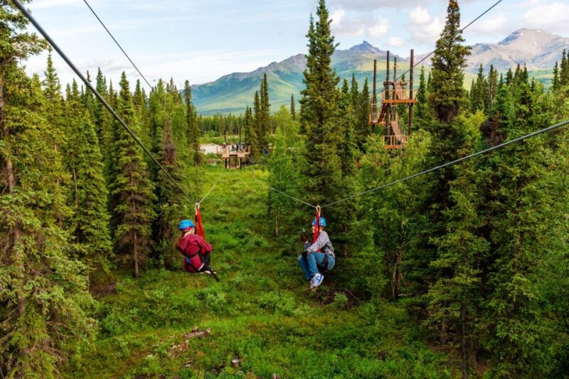 Denali Park Zipline Adventure - Views That Make the Flight Special
