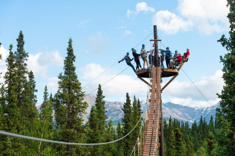 Denali Park Zipline Adventure - The Experience and Its Flow