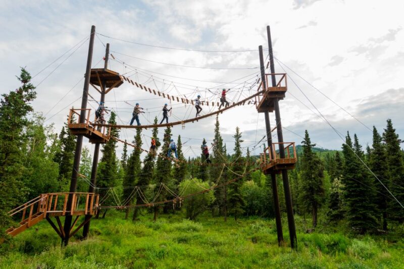 Denali Park Zipline Adventure - Value for Money: Is 0 Worth It?