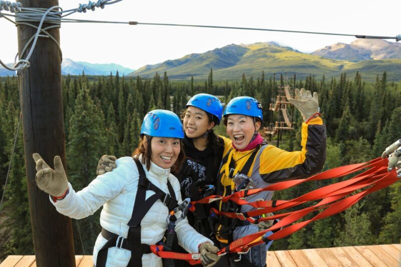 Denali Park Zipline Adventure - Who Will Love This Tour?