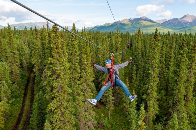 Denali Park Zipline Adventure - The Sum Up: Is It Worth It?