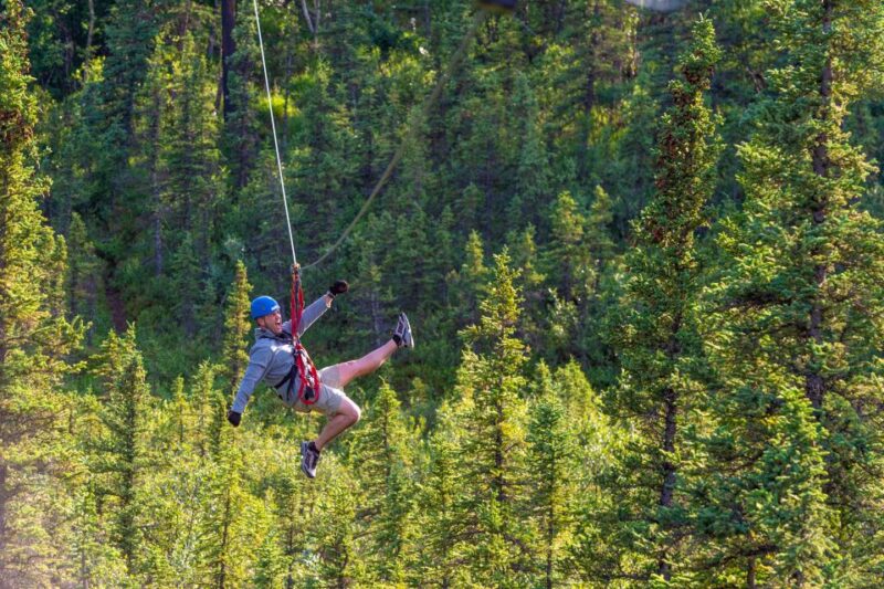 Denali Park Zipline Adventure - FAQ
