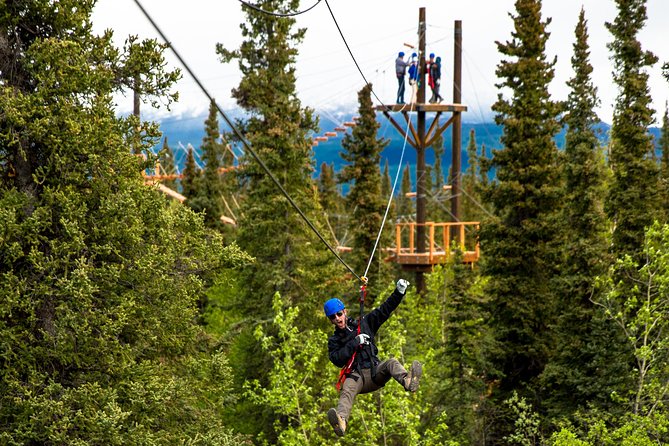 Denali Park Zipline Adventure - Value for Money and Pricing