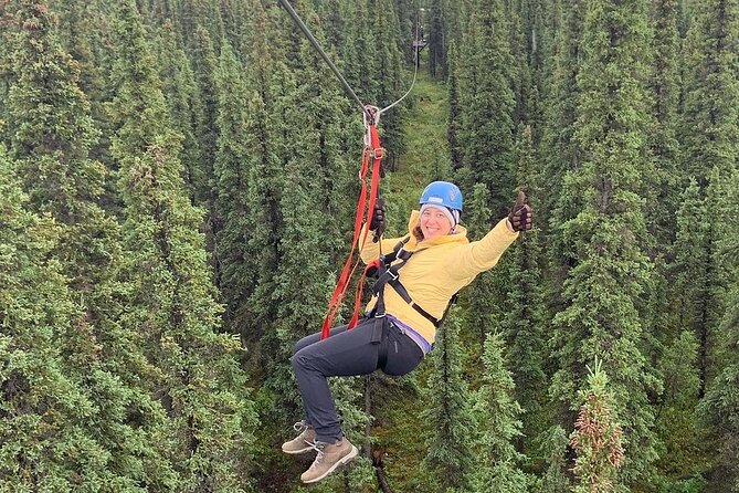 Denali Park Zipline Adventure - Authentic Traveler Insights