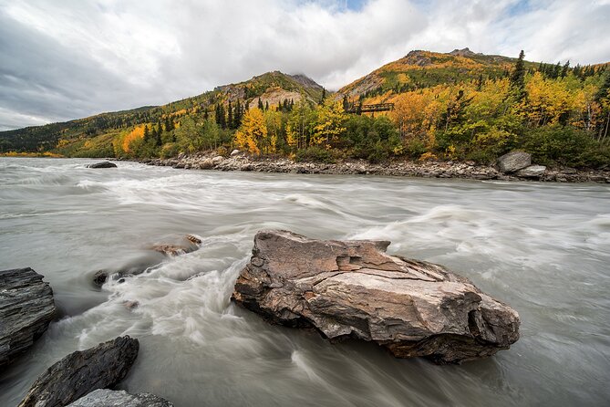 Denali Photo Excursion - Transportation and Accessibility