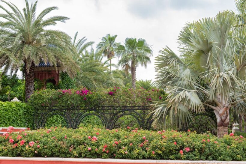 Denia: L'Albarda Garden Entry Ticket - Authentic Experiences from Visitors