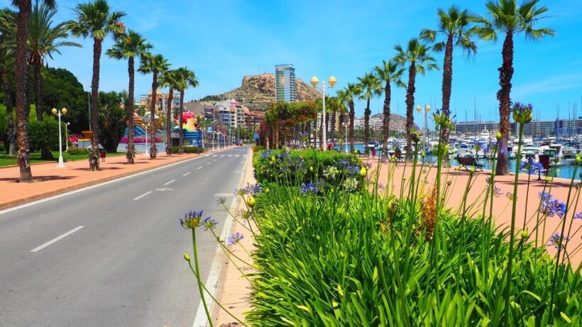 Denia - Old Town Private Walking Tour - Analyzing the Value