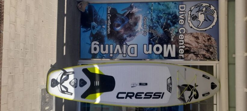 Dénia: Paddle Surfboard Rental - Key Points