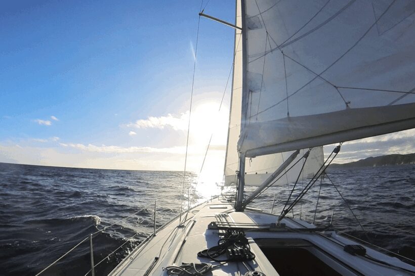 Denia: Sunset Electric Sailboat Cruise with Dolphin Spotting - Key Points
