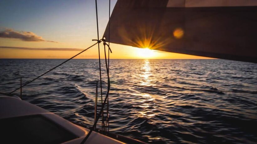 Denia: Sunset Electric Sailboat Cruise with Dolphin Spotting - Final Thoughts
