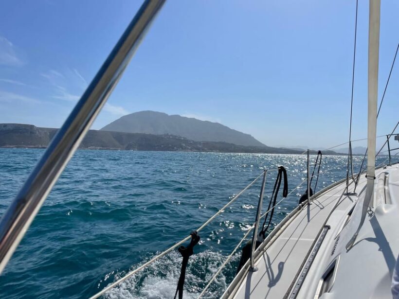 Denia: Whale and Dolphin Watching Morning Experience - Why Choose This Tour?